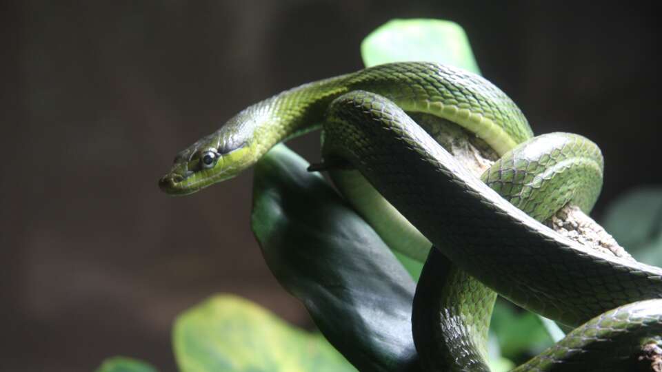 Sin Satan And Hell Christianity